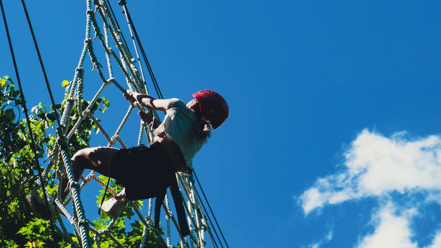 Rentals & Groups – Camp Onas